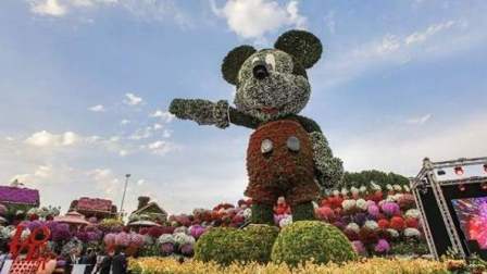 Dubai gets world's biggest Mickey Mouse floral structure - Emiratesloan